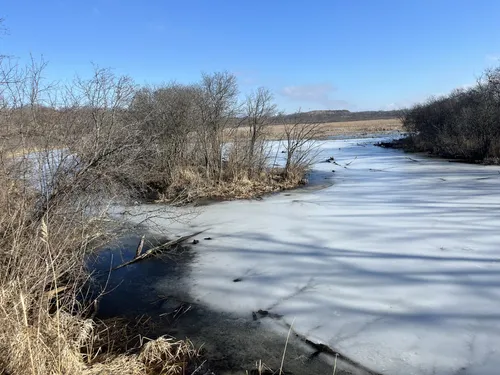 Best Hikes and Trails in Volo Bog State Natural Area | AllTrails