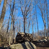 Ledyard Glacial Park Blue Loop, Connecticut - 150 Reviews, Map | AllTrails