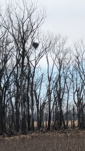 Best Bird Watching Trails in Shiawassee National Wildlife Refuge ...