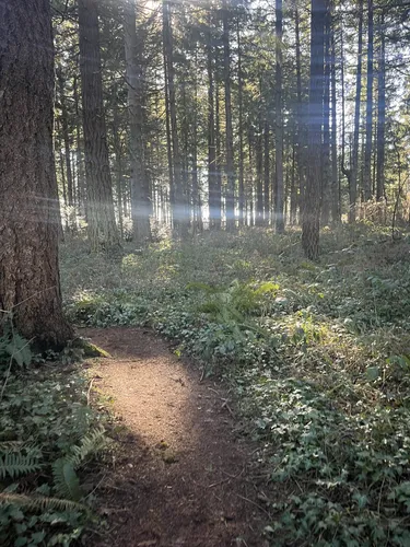 Best Hikes and Trails in Orchards Park | AllTrails