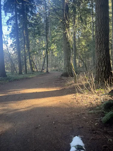 Best Hikes and Trails in Orchards Park | AllTrails