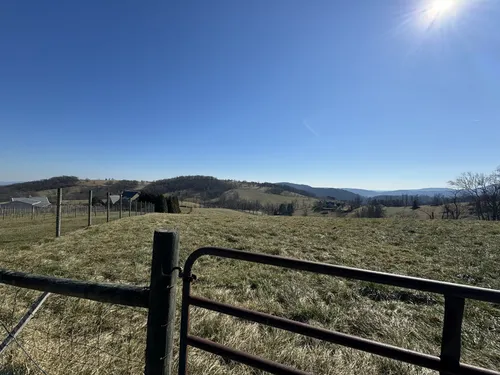 Best Forest Trails in G. Richard Thompson Wildlife Management Area ...