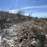Thousand Steps Trail, Texas - 1,323 Reviews, Map | AllTrails