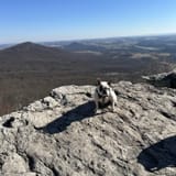 Pulpit Rock, Pennsylvania - 2,342 Reviews, Map | AllTrails