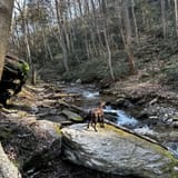 Kelly's Run Loop Trail, Pennsylvania - 3,236 Reviews, Map | AllTrails