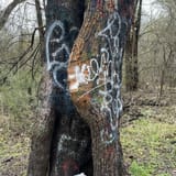 Pilot Knoll Trail, Texas - 614 Reviews, Map | AllTrails