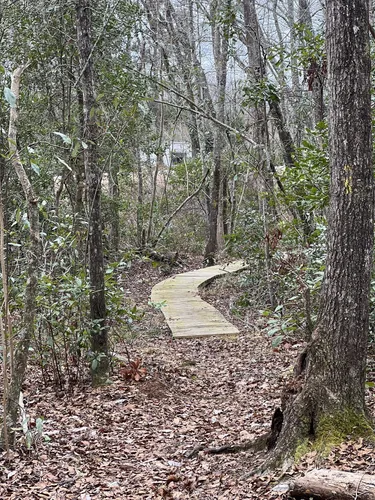 Best Hikes and Trails in Horatio | AllTrails