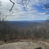 Springer Mountain, Georgia - 683 Reviews, Map | AllTrails