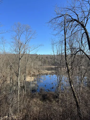 Best Hikes and Trails in Johnsonburg Swamp Preserve | AllTrails