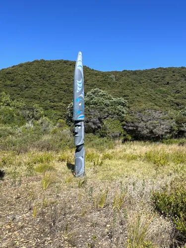 Best Hikes and Trails in Moturua Island Scenic Reserve | AllTrails