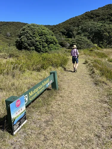 Best Hikes and Trails in Moturua Island Scenic Reserve | AllTrails