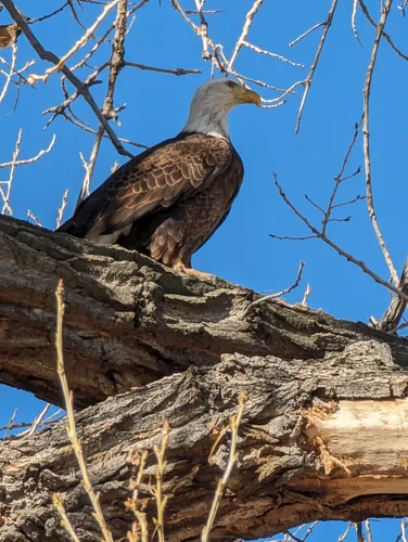 Best Hikes and Trails in Greeley | AllTrails