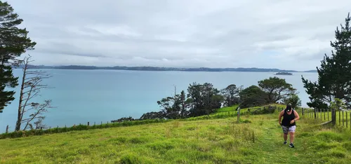 Best Hikes and Trails in Scandrett Regional Park | AllTrails
