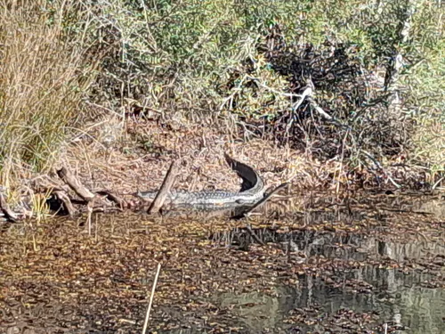 Best Hikes and Trails in Sheldon Lake State Park and Environmental ...