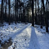 Mount Toby Trail, Massachusetts - 1,054 Reviews, Map | AllTrails