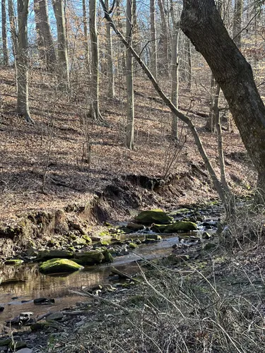 Best Walking Trails in Tyler State Park | AllTrails