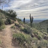 Pass Mountain Trail, Arizona - 4,446 Reviews, Map | AllTrails