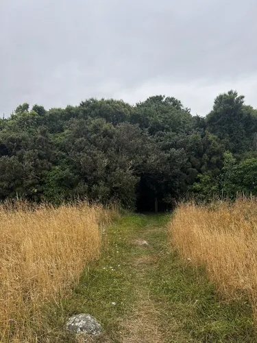 Best Hikes and Trails in Hoon Hay Reserve | AllTrails