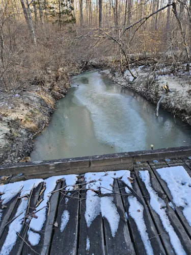 Best Camping Trails in Cumberland State Forest | AllTrails