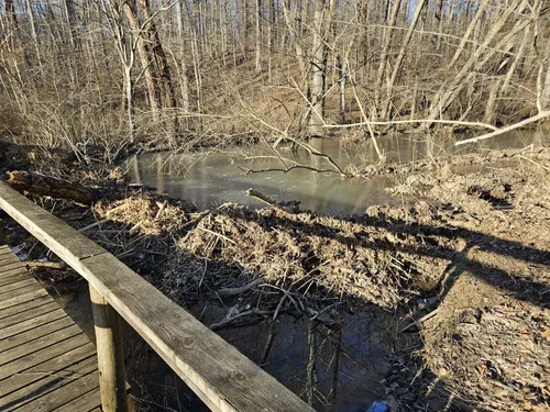 Best Camping Trails in Cumberland State Forest | AllTrails