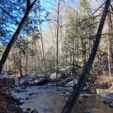 Edward's Point Trail, Tennessee - 2,469 Reviews, Map | AllTrails
