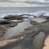 Black Point Trail, Rhode Island - 808 Reviews, Map | AllTrails