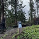 Mount Sutro Loop, California - 2,445 Reviews, Map | AllTrails