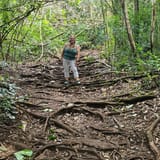 Judd Trail, Oahu, Hawaii - 2,458 Reviews, Map | AllTrails