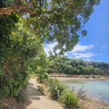 Camborne Walkway, Wellington, New Zealand - 47 Reviews, Map | AllTrails