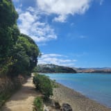 Camborne Walkway, Wellington, New Zealand - 47 Reviews, Map | AllTrails