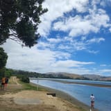 Camborne Walkway, Wellington, New Zealand - 47 Reviews, Map | AllTrails