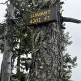 Mount Rose Trail, Washington - 1,431 Reviews, Map | AllTrails