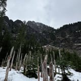 Heather Lake Trail, Washington - 5,615 Reviews, Map | AllTrails