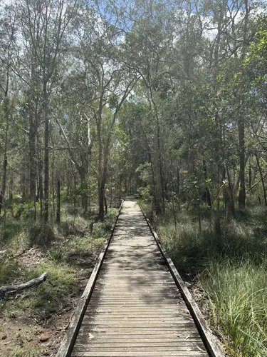 10 Best Hikes and Trails in Karawatha Forest Park | AllTrails