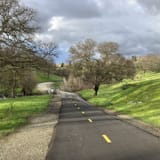 Miners Ravine Trail, California - 881 Reviews, Map | AllTrails