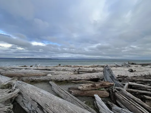 Best Hikes and Trails in Point No Point Lighthouse and Park | AllTrails