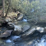 Raven Rock Loop Trail, South Carolina - 2,178 Reviews, Map | AllTrails