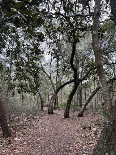 Best Hikes and Trails in Oak Tree Nature Park | AllTrails