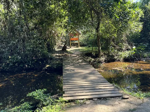 Best Hikes and Trails in Cockscomb Basin Wildlife Sanctuary | AllTrails