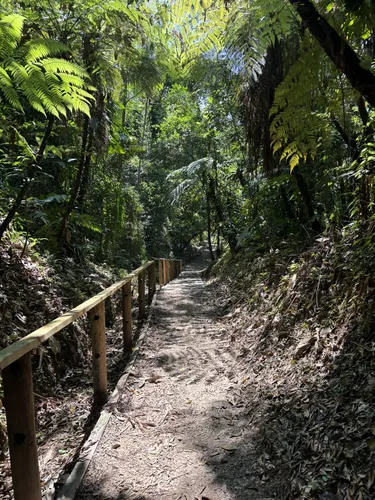 Best Hikes and Trails in Cockscomb Basin Wildlife Sanctuary | AllTrails
