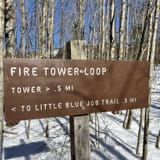 Blue Job Mountain Loop, New Hampshire - 1,960 Reviews, Map | AllTrails