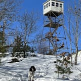 Blue Job Mountain Loop, New Hampshire - 1,960 Reviews, Map | AllTrails