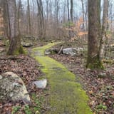 Russell Cave Trail, Alabama - 131 Reviews, Map | AllTrails