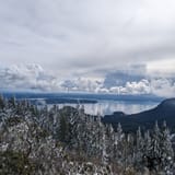 Mount Walker, Washington - 2,083 Reviews, Map | AllTrails