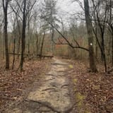 Indian Point Trail, Illinois - 1,593 Reviews, Map | AllTrails