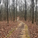 Indian Point Trail, Illinois - 1,593 Reviews, Map | AllTrails