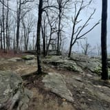 Indian Point Trail, Illinois - 1,593 Reviews, Map | AllTrails