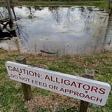 Sheldon Lake State Park Nature Loop, Texas - 245 Reviews, Map | AllTrails