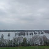 Sheldon Lake State Park Nature Loop, Texas - 245 Reviews, Map | AllTrails