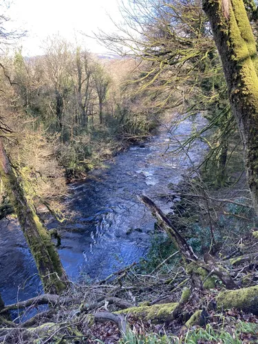 Best Waterfall Trails in Newton Abbot | AllTrails